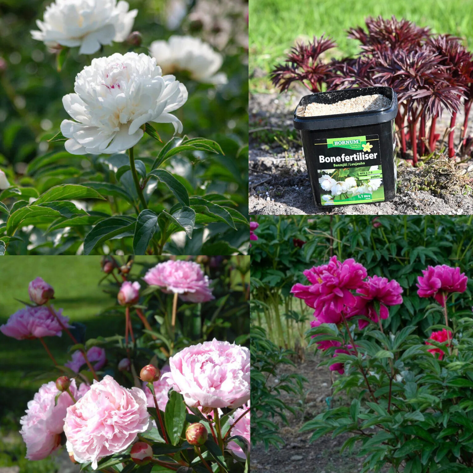 Verkkokauppa - Pionien Koti - pioni.fi